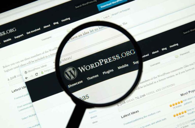 Your Guide to WordPress Website Development Services